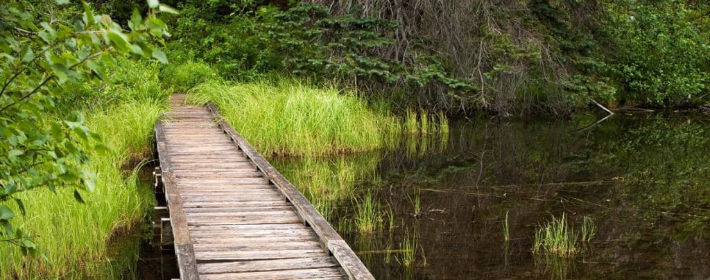 BC Freshwater Initiative - MakeWay